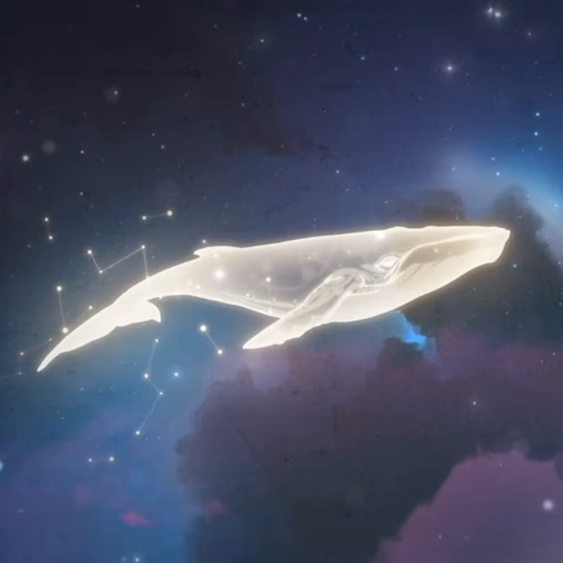 Void Song Whale | Honkai: Star Rail Wiki | Fandom