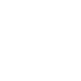 Iris Family | Honkai: Star Rail Wiki | Fandom