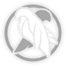 Bide Time | Honkai: Star Rail Wiki | Fandom