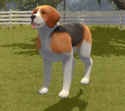 Pets DLC | House Flipper Wiki | Fandom