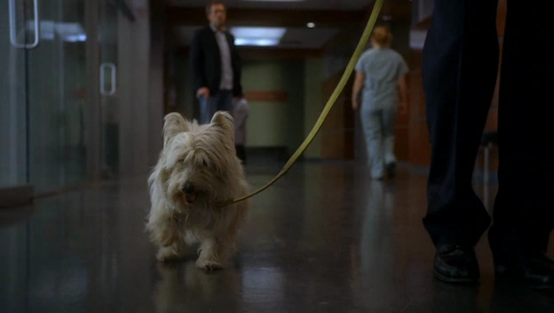 Hector | House Wiki | Fandom