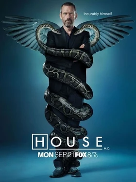 House MD Season 6 | House MD Wiki | Fandom