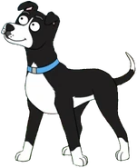 Domestic Dog | Housebroken Wiki | Fandom