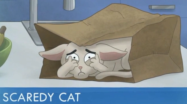 Scaredy Cat | Housebroken Wiki | Fandom