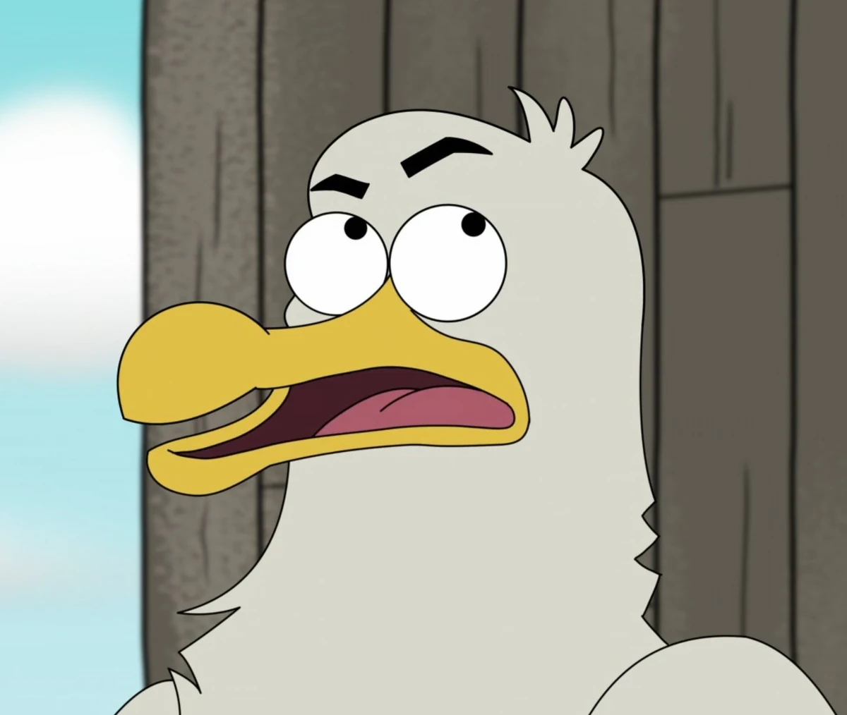 Seagull/Gallery | Housebroken Wiki | Fandom