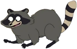 Raccoon | Housebroken Wiki | Fandom