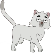 Domestic Cat | Housebroken Wiki | Fandom