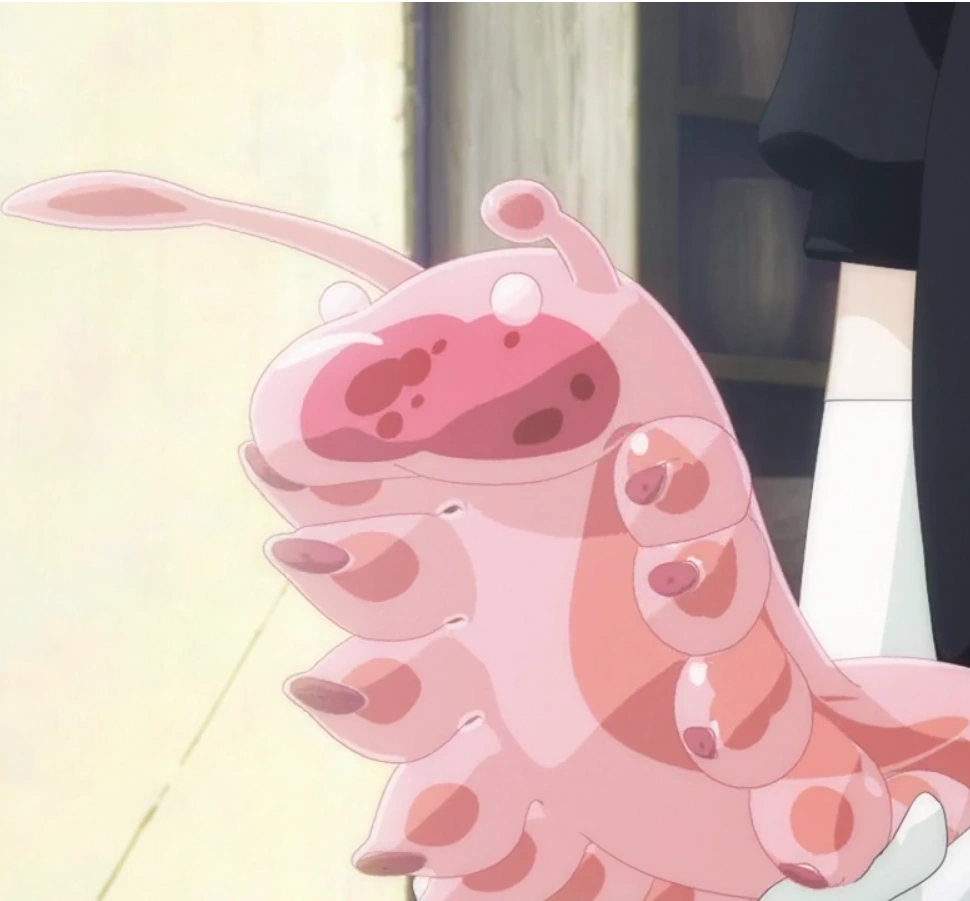 Ventricosus | Houseki no Kuni Wiki | Fandom