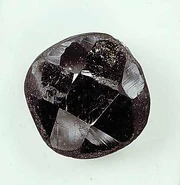 Bort | Houseki no Kuni Wiki | Fandom