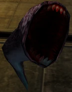 Murrer | The Wiki of the Dead | Fandom