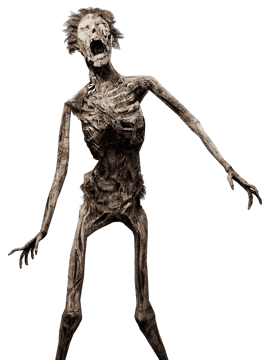 Kageo | The Wiki of the Dead | Fandom