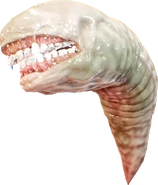 Murrer | The Wiki of the Dead | Fandom