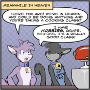 Maxwell/Gallery | Housepets! Wiki | Fandom
