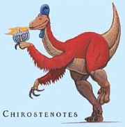 Chirostenotes | How Do Dinosaurs Wiki | Fandom