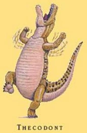 Thecodont | How Do Dinosaurs Wiki | Fandom