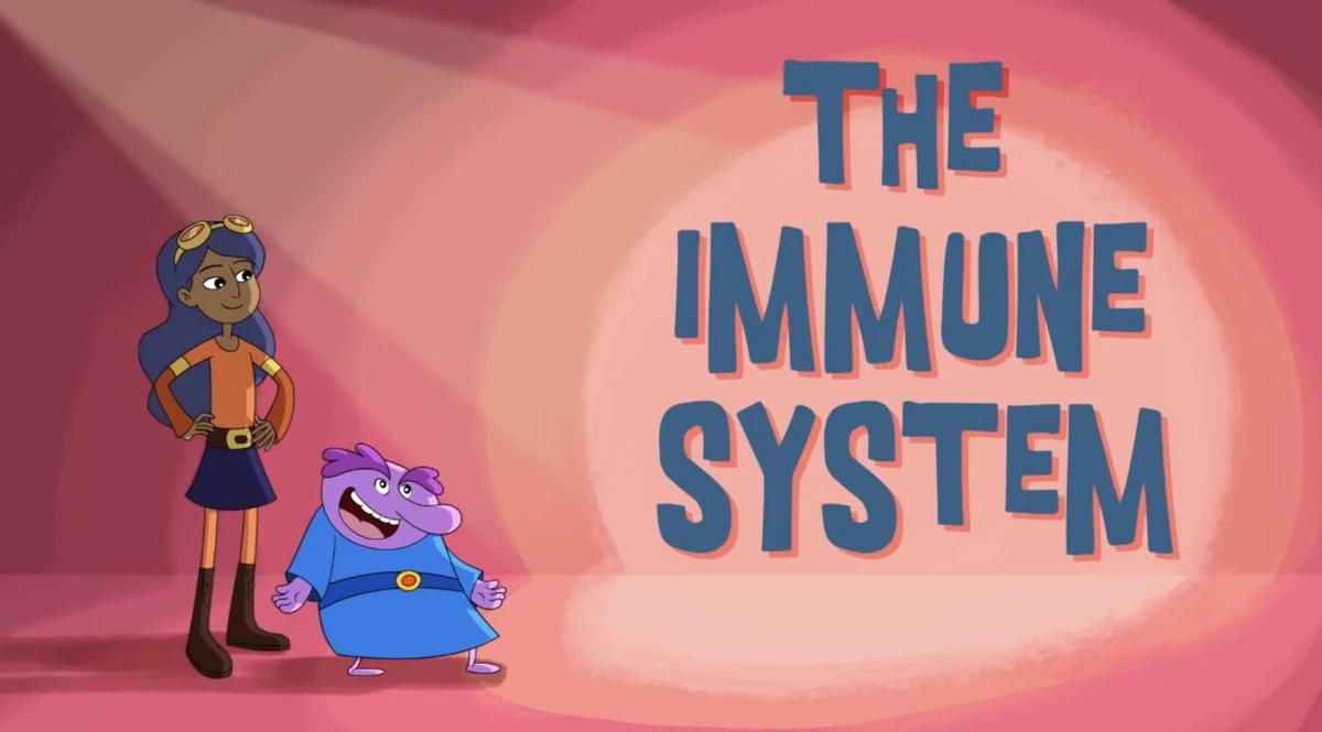 How the Immune System Works | How the Body Works Wiki | Fandom