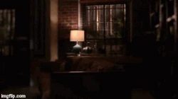 Isaac Roa | Murder Wiki | Fandom