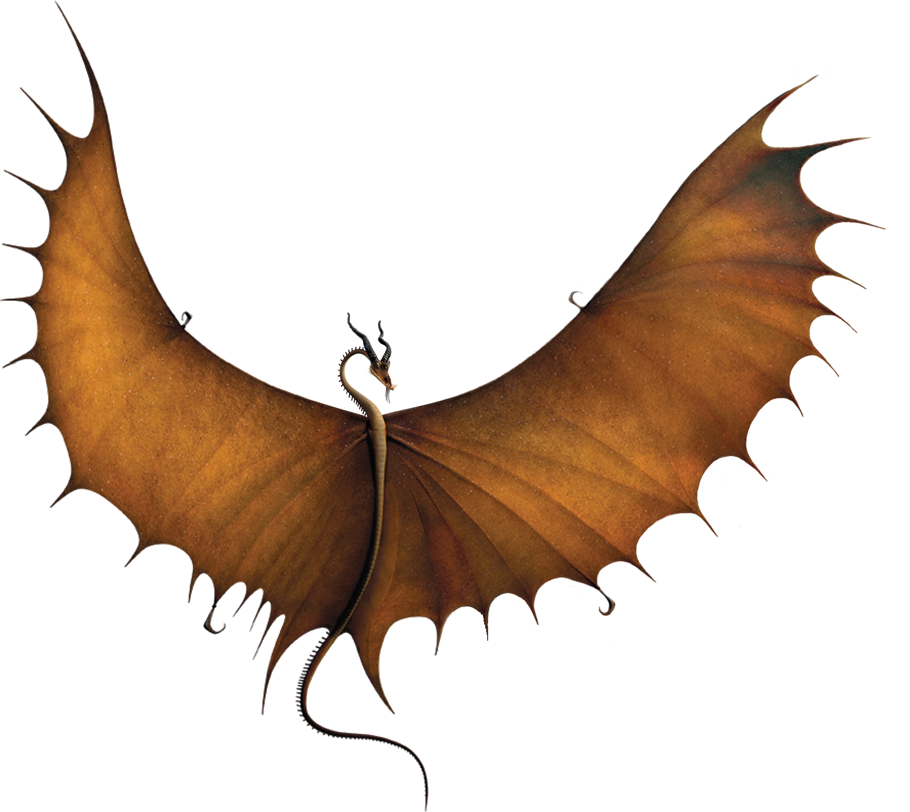 Catégorie:Espèces de Dragons de la Franchise | Wiki How To Train Your ...