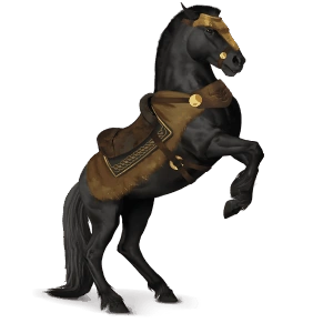 Bucephalus | Howrse game Wiki | Fandom