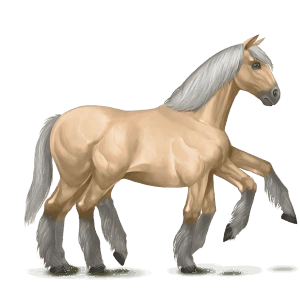 Sleipnir | Howrse Wiki | Fandom