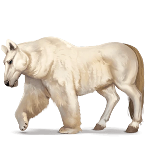Polar bear | Howrse Wiki | Fandom