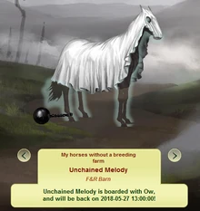 The Bewitched Pumpkin | Howrse Wiki | Fandom