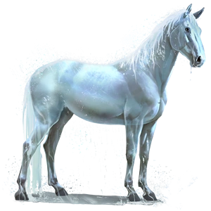 Rain | Howrse Wiki | Fandom