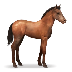 Quarter Horse | Howrse Wiki | Fandom