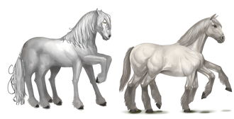 Sleipnir | Howrse Wiki | Fandom