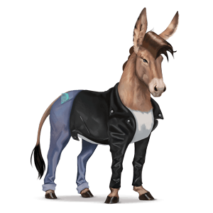 Musical | Howrse Wiki | Fandom