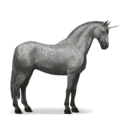 Unicorn | Howrse Wiki | Fandom