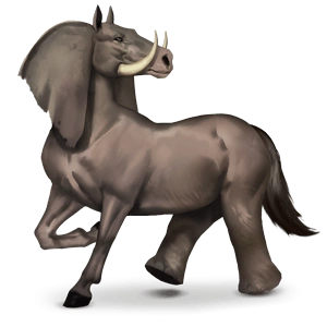 Elephant | Howrse Wiki | Fandom