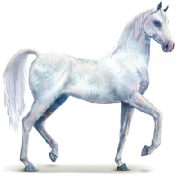 Frost | Howrse Wiki | Fandom