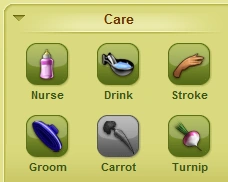 A Beginners Guide to Howrse | Howrse Wiki | Fandom