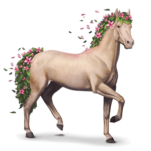 Divine Horses | Howrse Wiki | Fandom