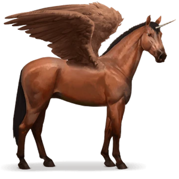 Irish Hunter Howrse