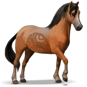 Welsh Mountain | Howrse Wiki | Fandom