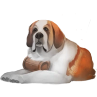 Saint Bernard cu-sith | Howrse Wiki | Fandom
