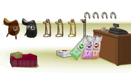 The Store | Howrse Wiki | Fandom