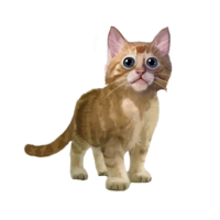 Cat | Howrse Wiki | Fandom