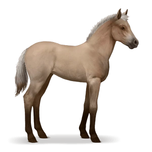 Fjord | Howrse Wiki | Fandom