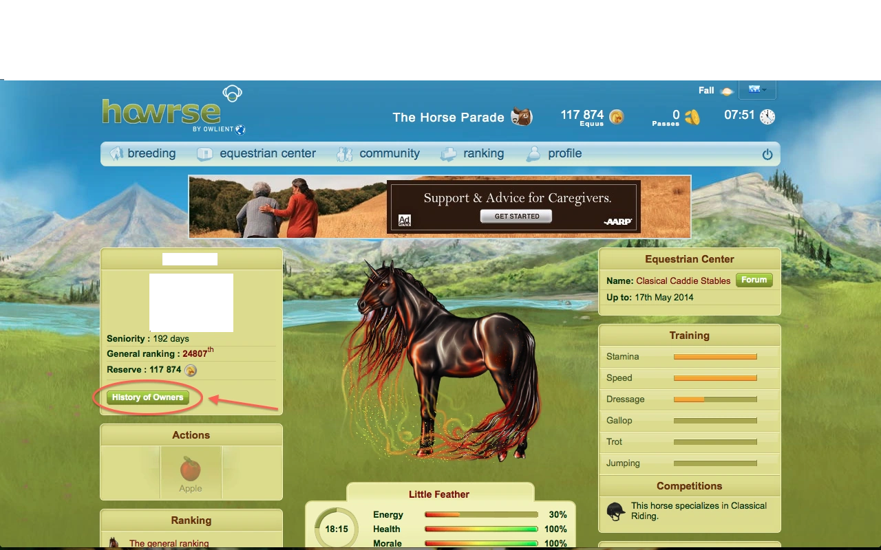 Scammers: How to deal with it and who to avoid | Howrse Wiki | Fandom