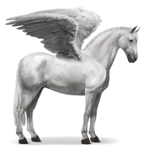 Pegasus | Howrse Wiki | Fandom