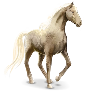 Moon | Howrse Wiki | Fandom