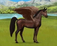 Winged Unicorn | Howrse Wiki | Fandom