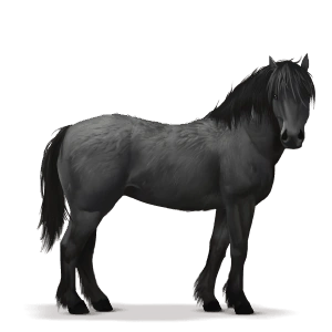 Forest Horse | Howrse Wiki | Fandom