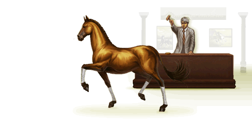 Auction | Howrse Wiki | Fandom