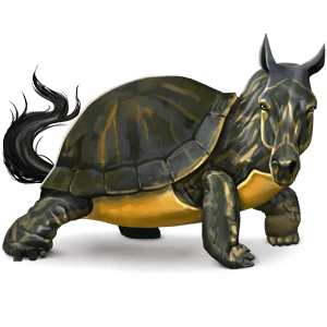 Turtle (Chimera Horse) | Howrse Wiki | Fandom