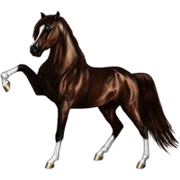 Howrse-wiki | Fandom