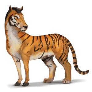 Tiger | Howrse Wiki | Fandom
